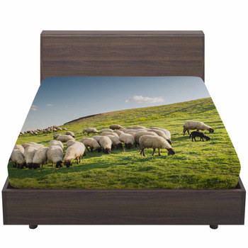 Sheep Comforters, Duvets, Sheets & Sets | Custom