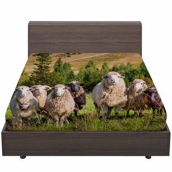 Sheep Comforters, Duvets, Sheets & Sets | Custom