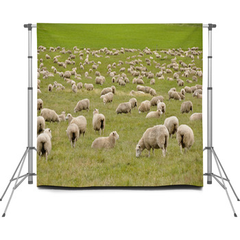 Sheep Custom Backdrops | Available in Super Large Custom Sizes