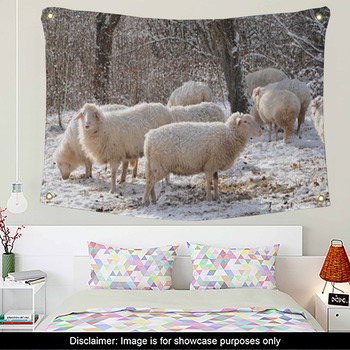 Sheep Wall Decor in Canvas, Murals, Tapestries, Posters & More