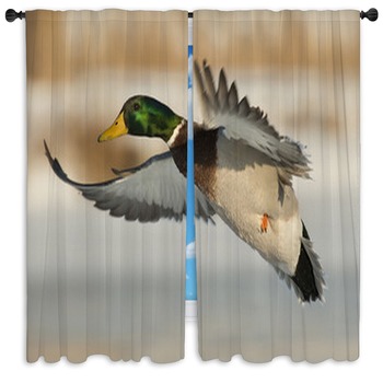 Duck Drapes & Window Treatments | Black Out | Custom Sizes