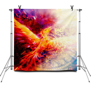 Phoenix Photographer Backdrops | Available in Super Large Custom Sizes