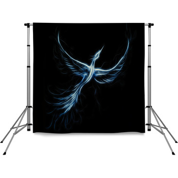 Phoenix Photographer Backdrops | Available in Super Large Custom Sizes