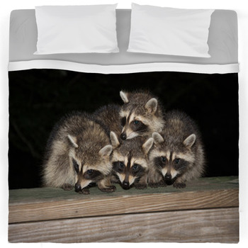 Raccoon Comforters, Duvets, Sheets & Sets | Personalized