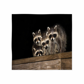 Raccoon Area Rugs & Floor Mats