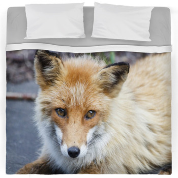 Fox Comforters, Duvets, Sheets & Sets | Custom