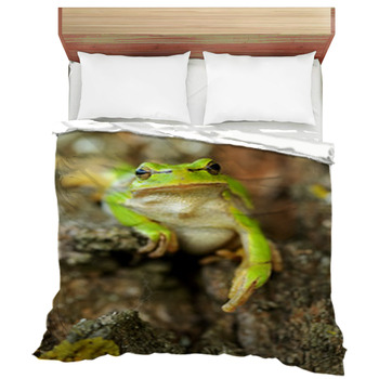 Frog Comforters, Duvets, Sheets & Sets | Custom