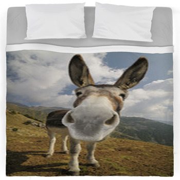 Donkey Comforters, Duvets, Sheets & Sets | Personalized