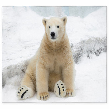 Polar bear Area Rugs & Floor Mats