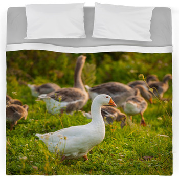 Goose Comforters, Duvets, Sheets & Sets | Custom