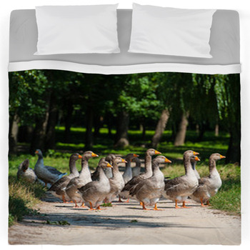 Goose Comforters, Duvets, Sheets & Sets | Custom