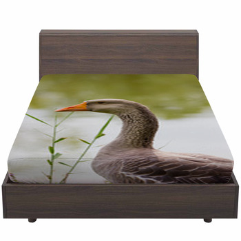 Goose Comforters, Duvets, Sheets & Sets | Custom