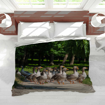 Goose Comforters, Duvets, Sheets & Sets | Custom