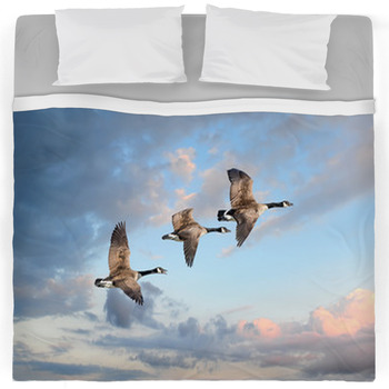 Goose Comforters, Duvets, Sheets & Sets | Custom