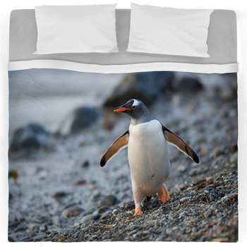 Penguin Comforters, Duvets, Sheets & Sets | Custom