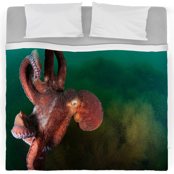 Octopus Bedding | Comforters, Duvet Covers, Sheets & Bed Sets ...