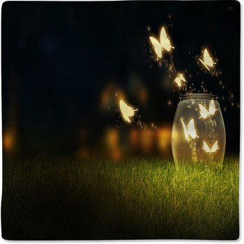 Firefly Baby Blankets, Toddler Bedding | Personalized