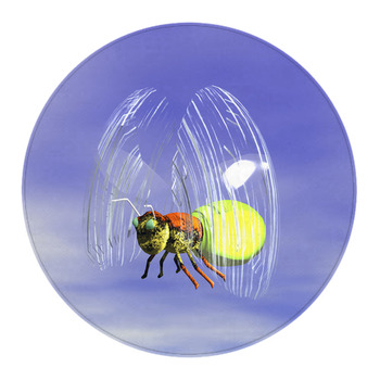 Firefly Area Rugs & Floor Mats