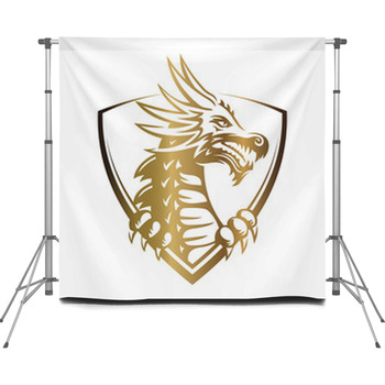 Dragon Photographer Backdrops | Available in Ultra Large Custom Sizes