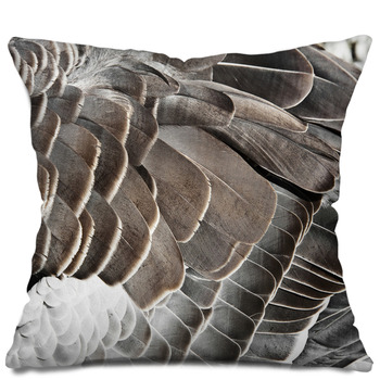 Feather Throw Pillows, Cases