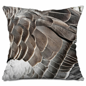 Feather Throw Pillows, Cases