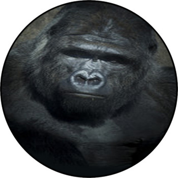 Gorilla Area Rugs & Custom Size Floor Mats