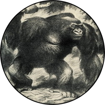 Gorilla Area Rugs & Custom Size Floor Mats