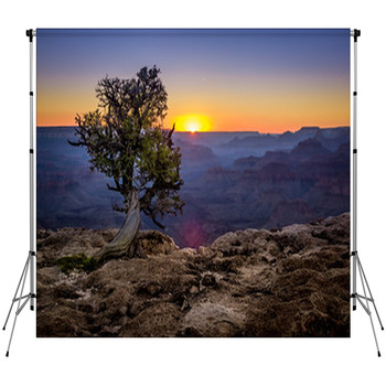 Grand canyon Photographer Backdrops | Available in Ultra Large Custom Sizes