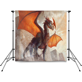 Dragon Photographer Backdrops | Available in Ultra Large Custom Sizes