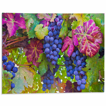 Grapes Area Rugs & Custom Size Floor Mats