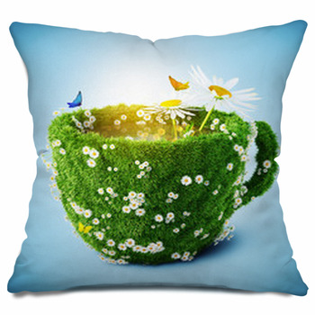 Whimsical Throw Pillows, Cases, & Shams