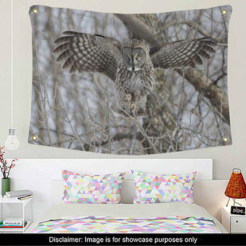 Owl Wall Decor in Canvas, Murals, Tapestries, Posters & More