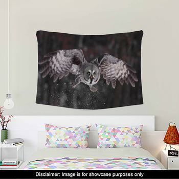 Owl Wall Decor in Canvas, Murals, Tapestries, Posters & More
