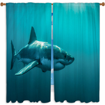 Shark Curtains & Drapes | Block Out | Custom Sizes