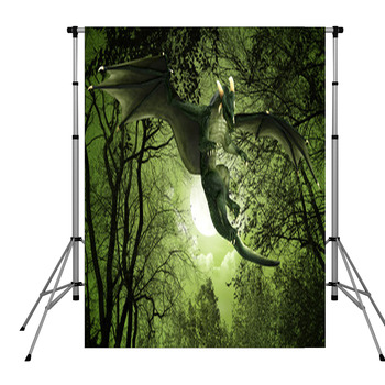 Dragon Photographer Backdrops | Available in Ultra Large Custom Sizes