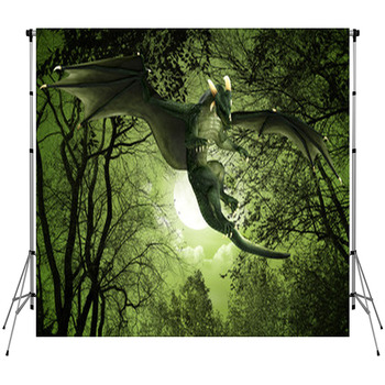 Dragon Photographer Backdrops | Available in Ultra Large Custom Sizes