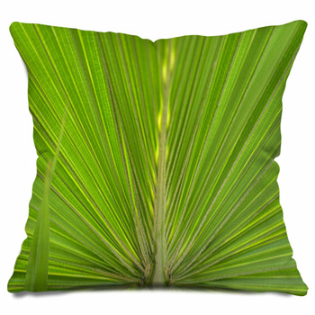 Palm tree Throw Pillows, & Shams