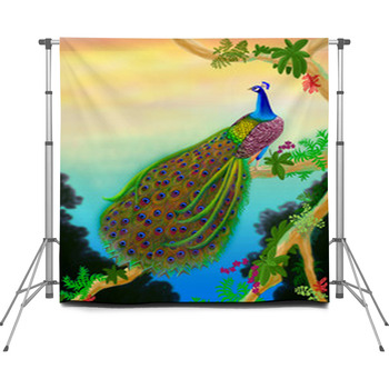 Peacock Photographer Backdrops | Available in nearly ANY Custom Sizes