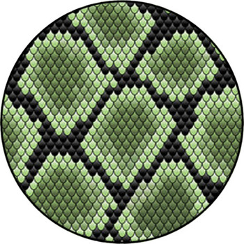 Snake Area Rugs & Floor Mats