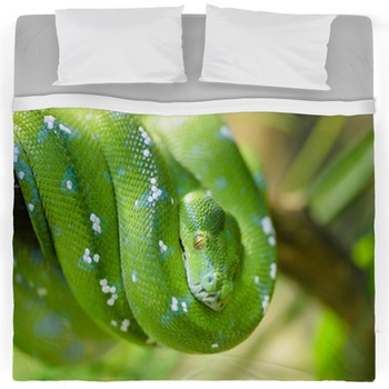 Snake Comforters, Duvets, Sheets & Sets | Custom