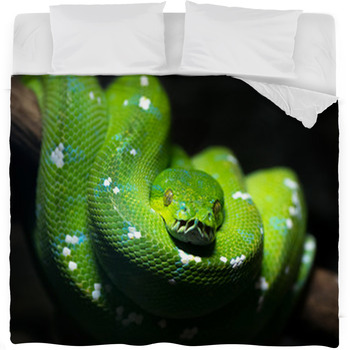Snake Comforters, Duvets, Sheets & Sets | Custom