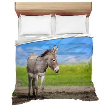 Donkey Comforters, Duvets, Sheets & Sets | Personalized