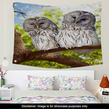 Owl Wall Decor | Murals | Tapestry | Posters | Custom Sizes