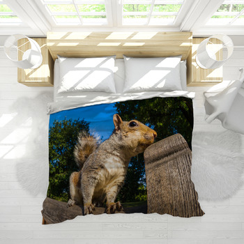 Squirrel Comforters, Duvets, Sheets & Sets | Personalized