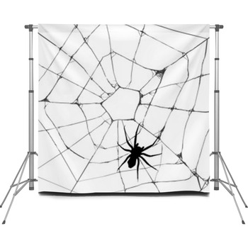 Spider Photographer Backdrops | Available in Ultra Large Custom Sizes