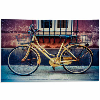 Bicycle Area Rugs & Floor Mats