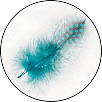 Feather Rugs & Custom Size Floor Mats