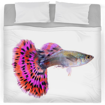 Tropical fish Comforters, Duvets, Sheets & Sets | Custom