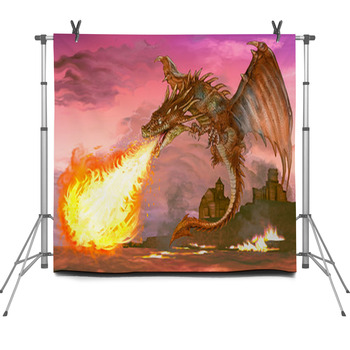 Dragon Photographer Backdrops | Available in Ultra Large Custom Sizes