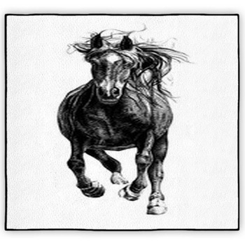 Horse Area Rugs & Custom Size Floor Mats